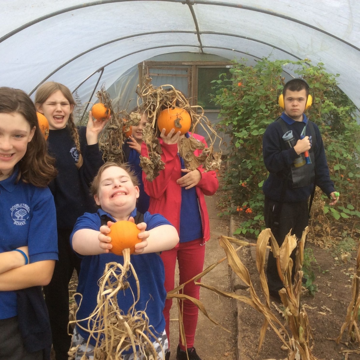 Doubletrees School - Harvest at Doubletrees!